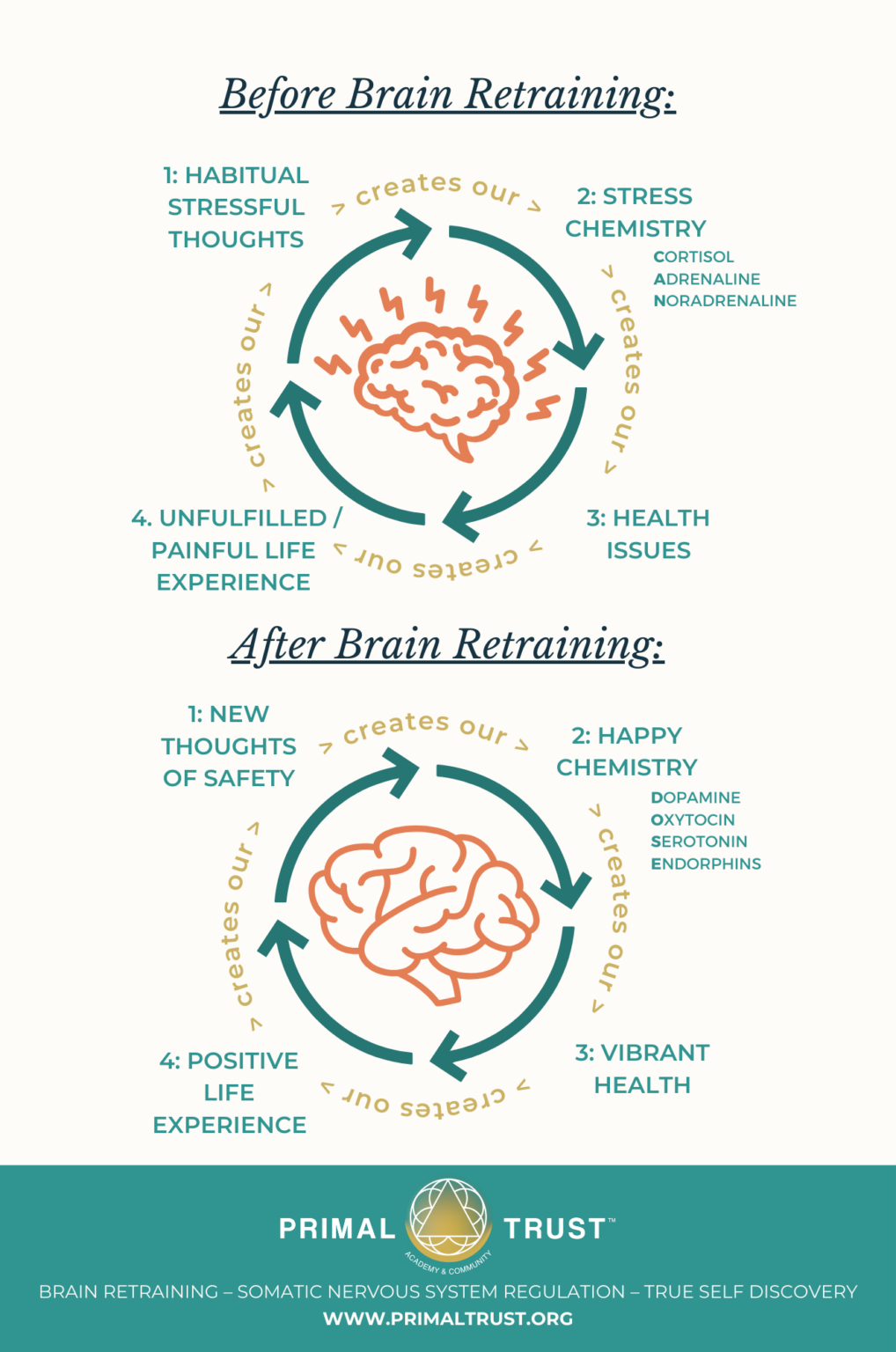 What Is Neuroplasticity? Understanding The Brain's Ability To Change