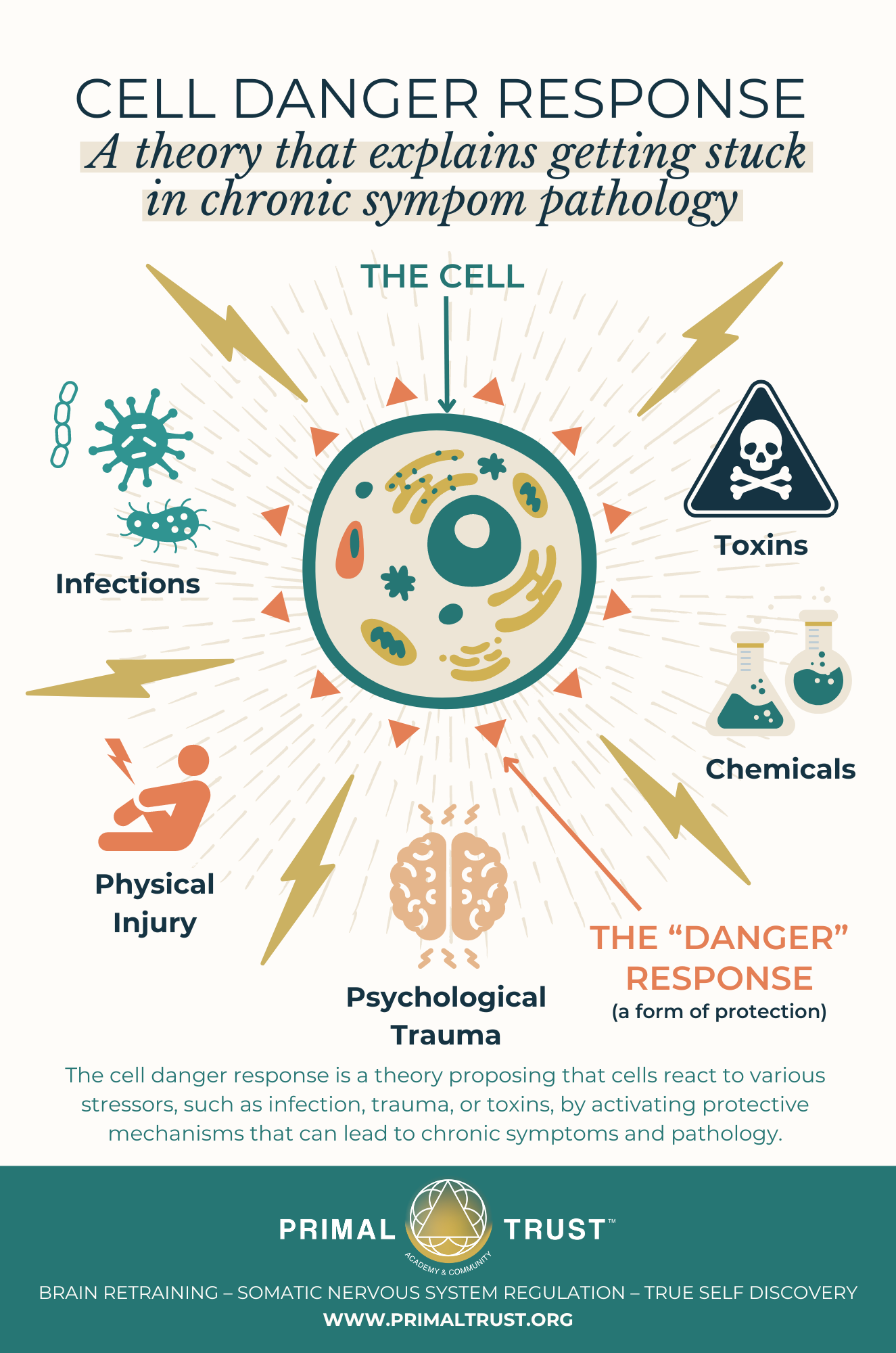Navigating Cell Danger Response: A Path To Healing
