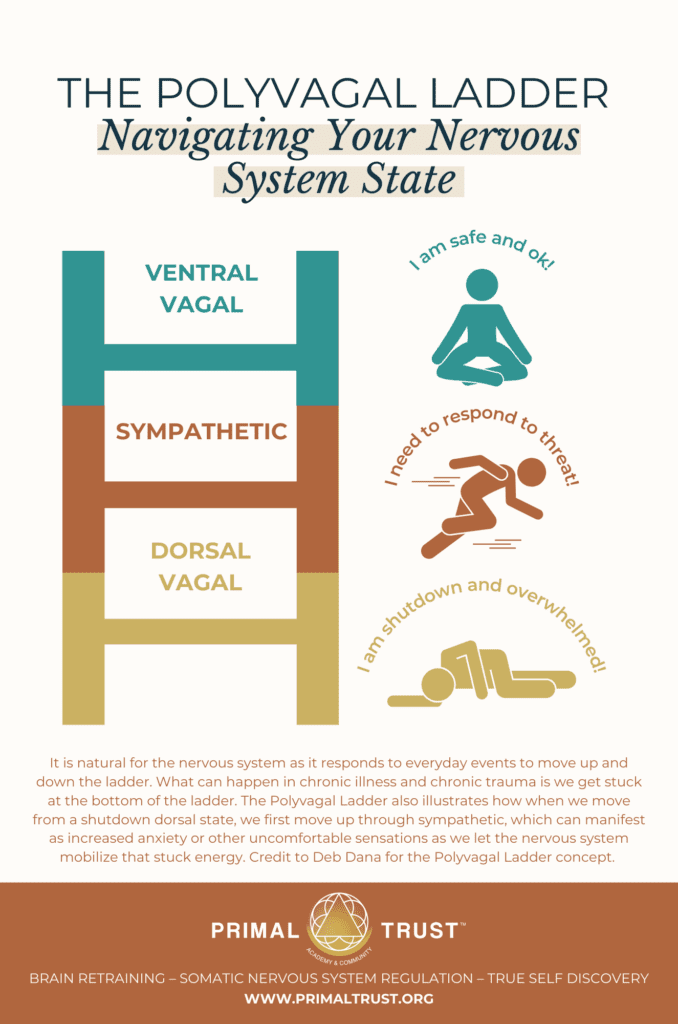 Chronic Stress Healing: Comprehensive Approaches To Finding Relief ...