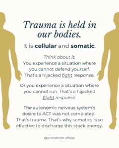 Somatic Experiencing: Transformative Healing Through The Body - Primal Trust