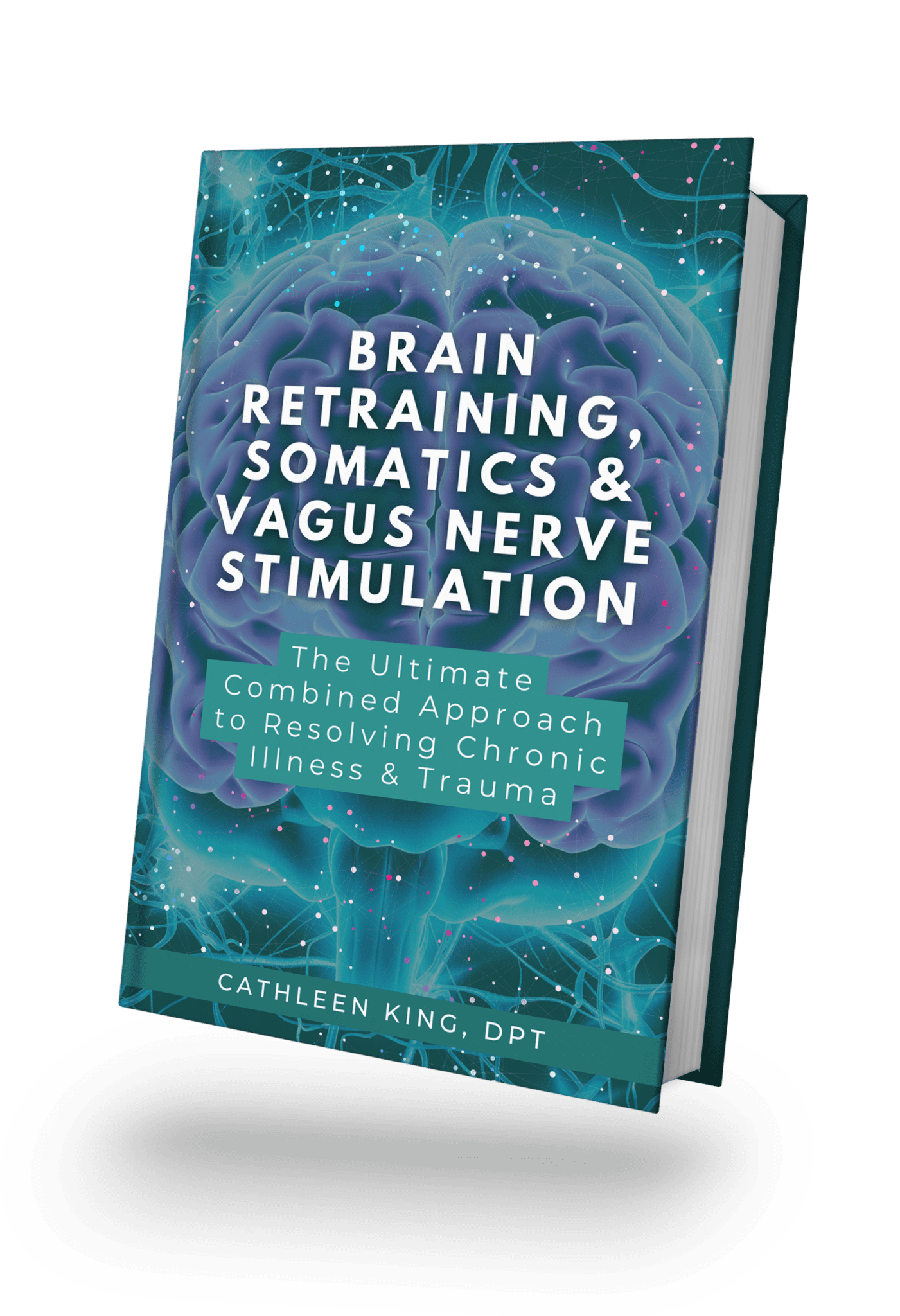 Free Resources For Nervous System Regulation | Primal Trust