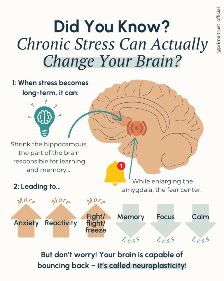 Stress's Toll: How It Damages Your Brain And Body And What To Do ...